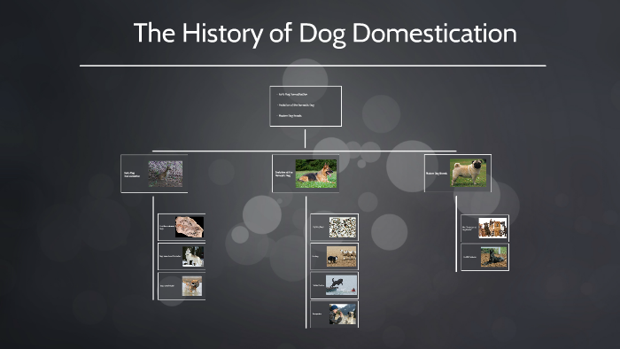The History of Dog Domestication by Sam Clay on Prezi