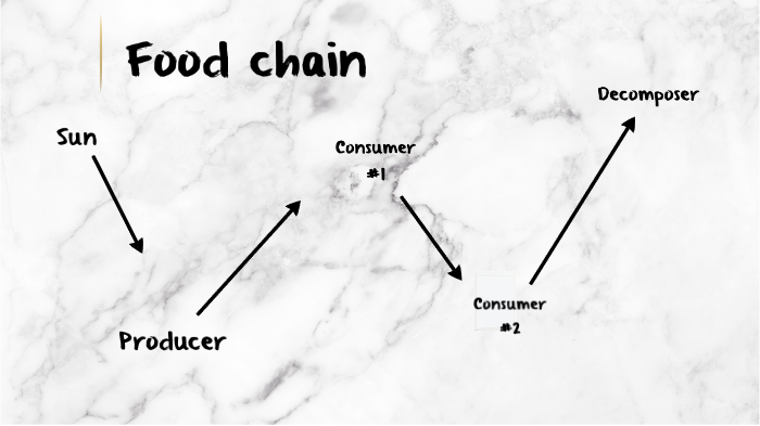 food chain ld by Leah Dempsey on Prezi