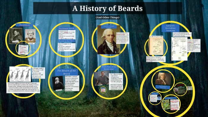 A History of Beards: The Correlation Between Facial Hair and Taxonomic ...