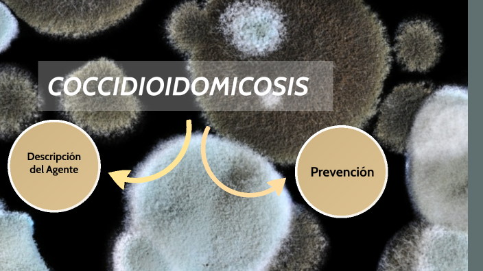 Coccidioides spp by Alexander Arias G. on Prezi