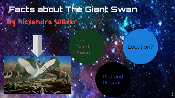 Extinct Giant Swan by Alexandra Wilder on Prezi