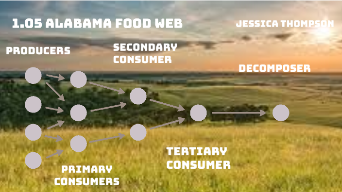1.05 Alabama Food Web by Jessica Thompson on Prezi