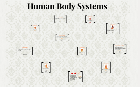 Human Body Systems Review by C Staley on Prezi