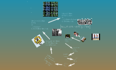 McCollum Family Tree by Mike McCollum on Prezi