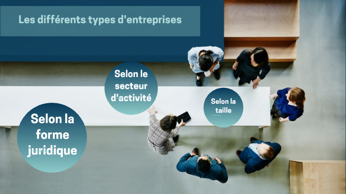 Les différents types d'entreprises by Gertrude delà on Prezi
