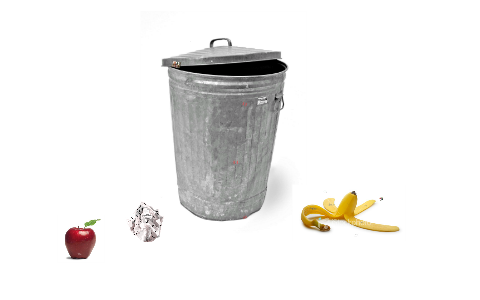 Garbage Can Theory by Leticia Zayas