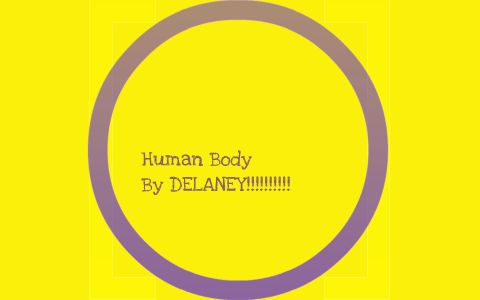 human body by Delaney Treanor by Emily Mitchell on Prezi