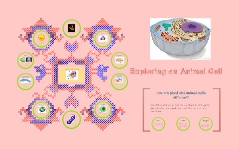 Exploring an Animal Cell- Breanna McCann Period 7/8 by Breanna McCann ...