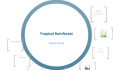 Tropical Rainforest by Bianca McCoy on Prezi