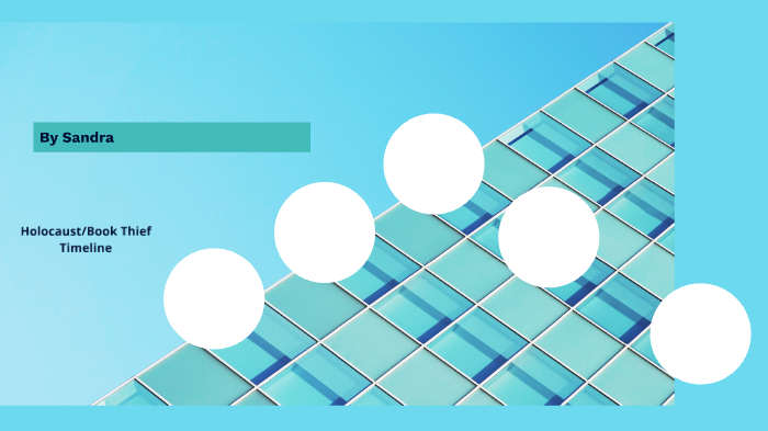 Holocaust/The Book Thief Timeline Comparison by Sandra Tuiasosopo ...