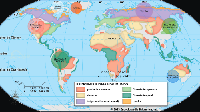 BIOMAS MUNDIAIS- Alice Santos Nº01 1ºB by Alice Santos on Prezi