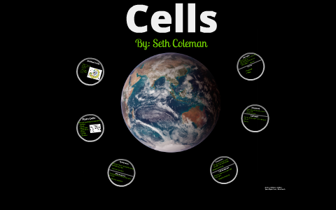 cells by Seth Coleman on Prezi