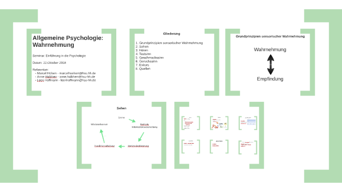 Allgemeine Psychologie: Wahrnehmung by Leon Hoffmann on Prezi