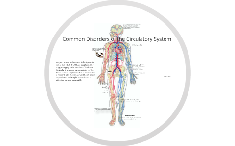 Common Disorders of the Circulatory System by Katie Archibald on Prezi