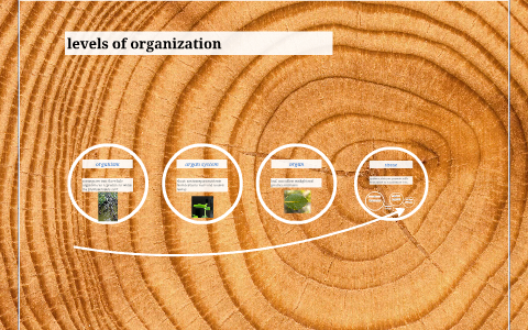 levels of organization by science 4world on Prezi