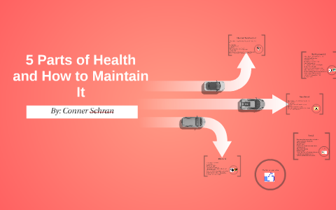 5 Parts of Health and How to Maintain It by conner schran