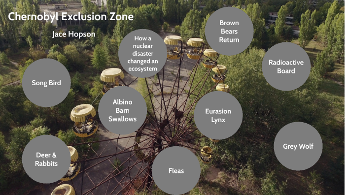 Chernobyl Ecosystem by Steven Hopson on Prezi