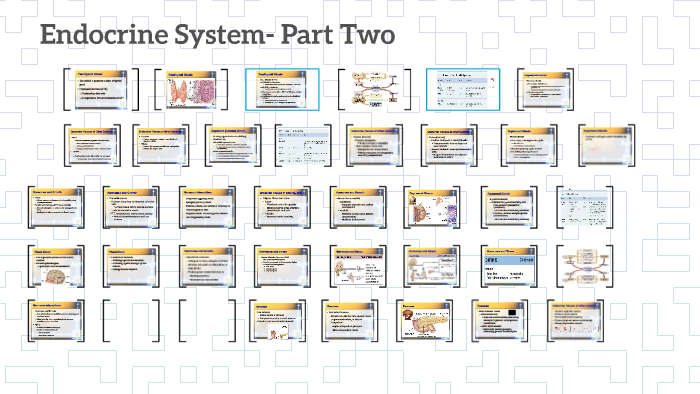 II - Endocrine System- Part Two by David Myers