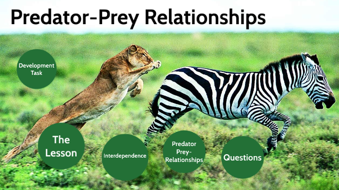 Predator-Prey Relationships by James Marr on Prezi
