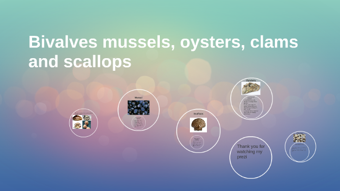 Bivalves Mussels Oysters Clams And Scallops By Alec Desrochers