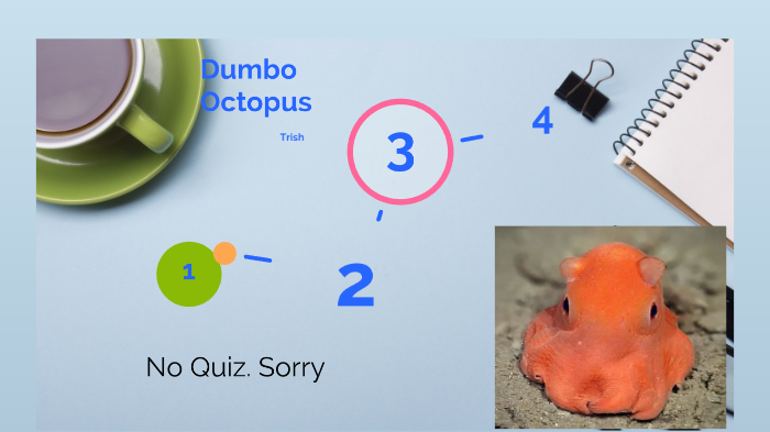Dumbo Octopus (Oral Presentation) by trish n123 on Prezi