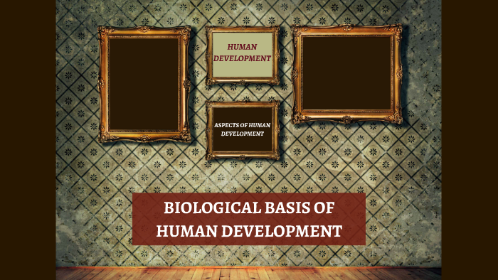 BIOLOGICAL BASIS OF HUMAN DEVELOPMENT by dian erece on Prezi