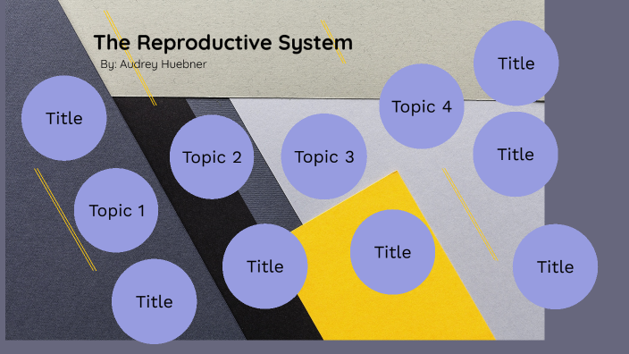 The Reproductive Project by Audrey Huebner on Prezi