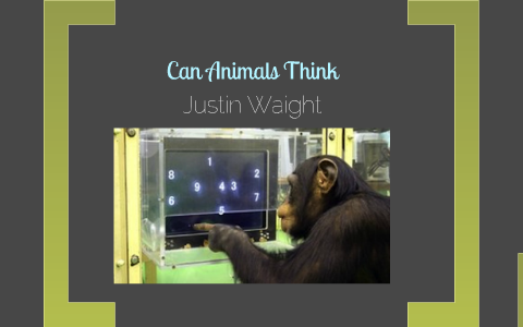 Can Animals Think by Justin Waight on Prezi