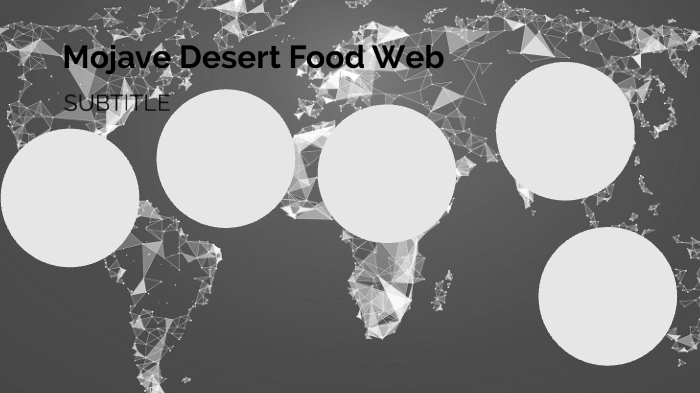 Mojave Desert Food Web by JAIDAN GILZENE on Prezi