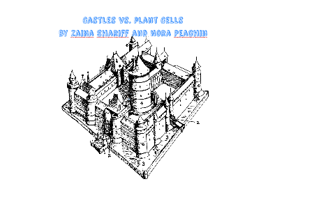 Castle vs. Cell Comparison by Zaina Shariff on Prezi