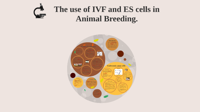The use of IVF and ES cells in animal breeding. by Tamsyn Varley on Prezi