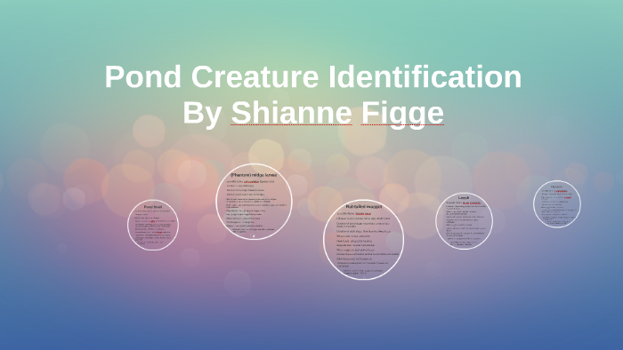 Pond Creature Identification by Shianne Figge on Prezi