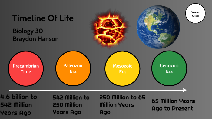 Timeline Of Life by Braydon Hanson on Prezi