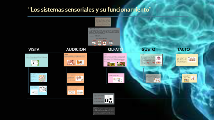 “Los sistemas sensoriales y su funcionamiento” by GABRIELA Vizzi on Prezi