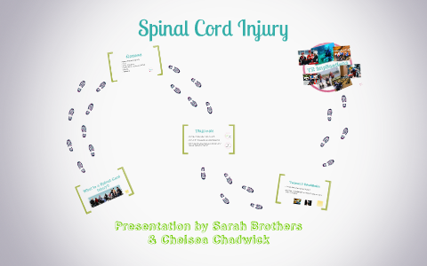 Spinal Cord Injury? by Chelsea Chadwick on Prezi