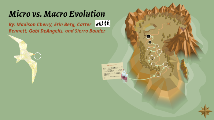 Micro Vs Macro Evolution By Madison Cherry