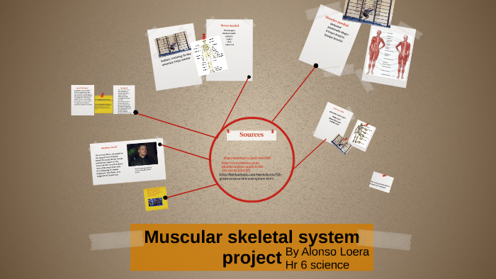 Muscular skeletal system project by Alonso L on Prezi