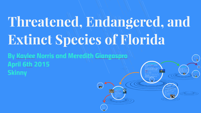 Threatened, Endangered, and Extinct Species of Florida by Kaylee Norris on Prezi