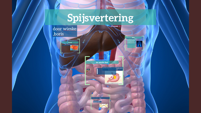 Spijsvertering by wieske goorbergh