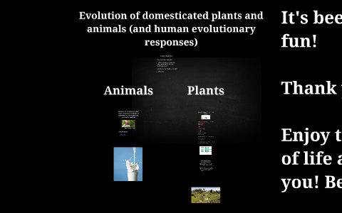 Evolution of domesticated animals and crops by Mark Fisher on Prezi