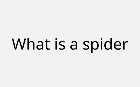 What is a spider by jimmy timko on Prezi