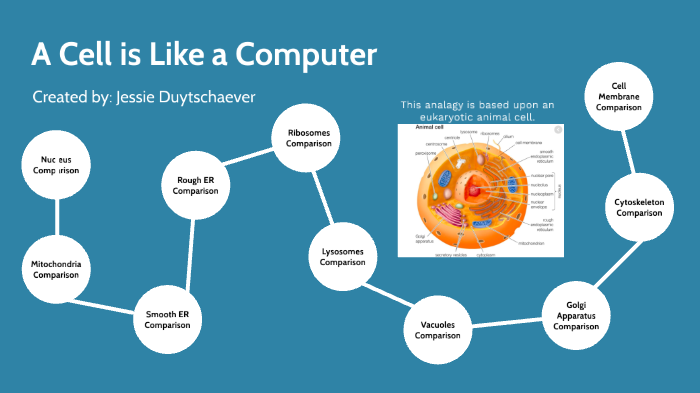 A Cell is Like a Computer by Jessie Duytschaever on Prezi