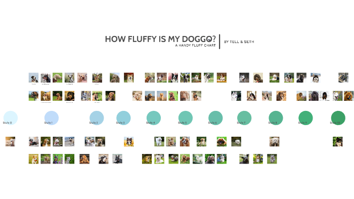How fluffy is my doggo? A handy fluff chart by Dilara Mielke on Prezi