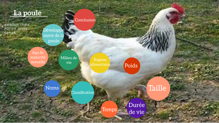 diapo svt by Thara AMROUR on Prezi