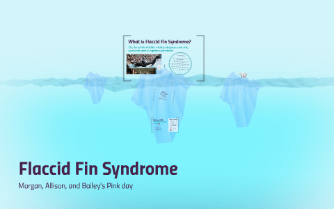 Flacid Fin Syndrome by Allison Stewart on Prezi