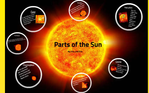 Parts of the Sun by ava p on Prezi