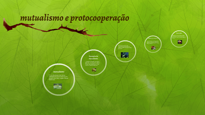 mutualismo e protocooperação by Edina Gonçalves on Prezi