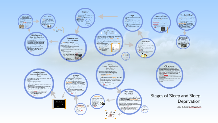 Stages of Sleep and Sleep Deprivation by Laura Schweikert on Prezi
