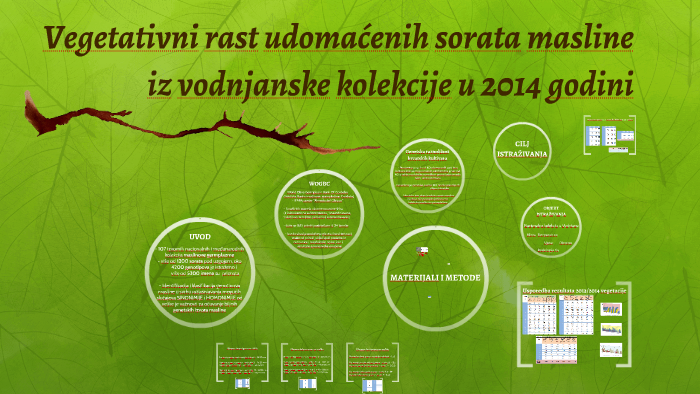 vegetativni rast udomaćenih sorata masline iz vodnjanske kol by Đino ...