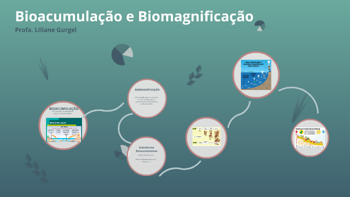 Bioacumulação e Biomagnificação by Liliane Gurgel on Prezi